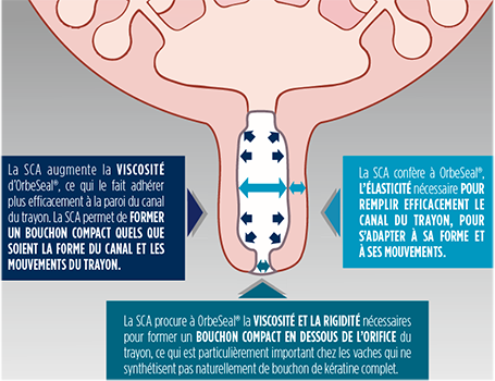 Orbeseal | Zoetis FR